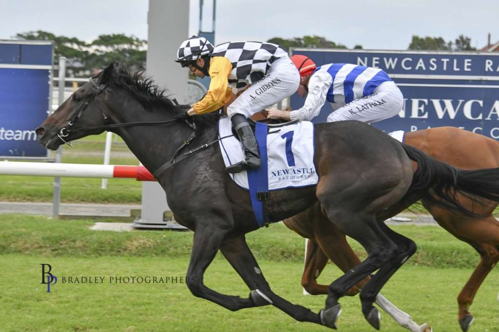 Hot Form Continues for Stable – John Sargent Racing