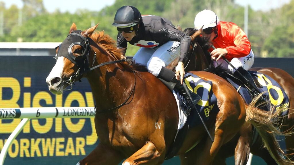 Syndicator upbeat Gin Martini can give Sydney Cup a shake – John ...